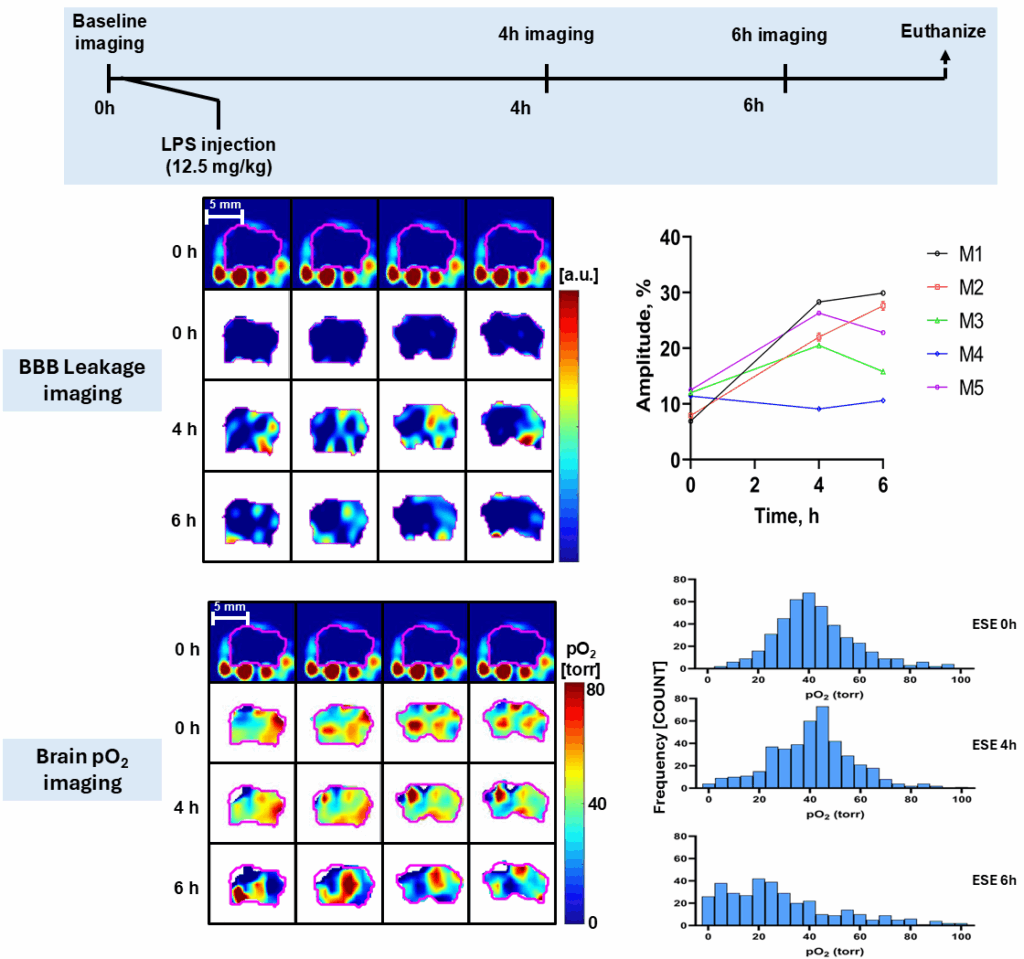 Quantification of Blood-Brain Barrier Leakage and Brain Oxygen Through ...